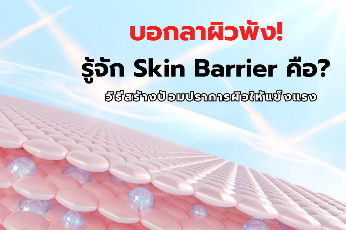 เกราะป้องกันผิว Skin Barrier คือ? พร้อมเคล็ดลับเปลี่ยนผิวพังเป็นผิวพรรณ ...